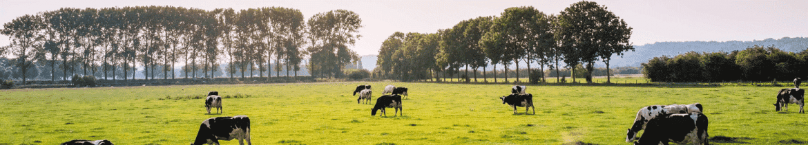 What is the meaning of MOO & is it still relevant? - Contractor ...